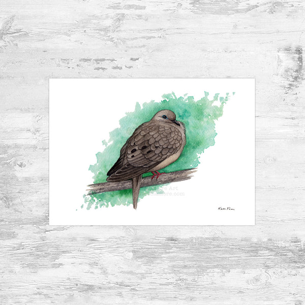 Mourning Dove Art Print – Kate Dolamore Art