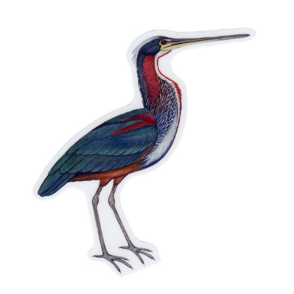 Agami Heron Vinyl Sticker – Kate Dolamore Art