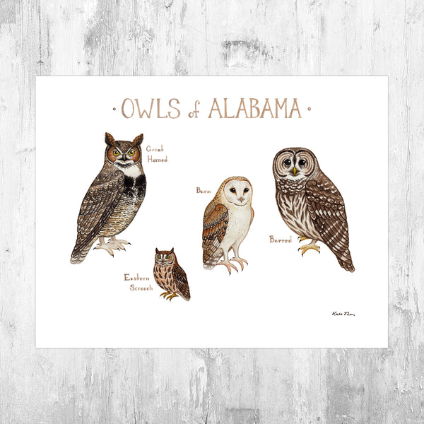 Alabama Owls Field Guide Art Print – Kate Dolamore Art