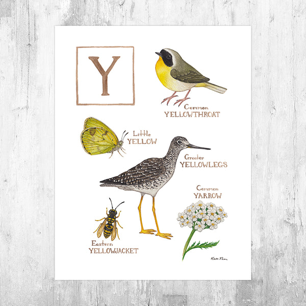 The Letter Y Nature Art Print – Kate Dolamore Art
