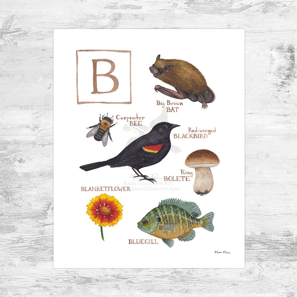 The Letter B In Nature Letter B Logo Concept, Nature Green Leaf