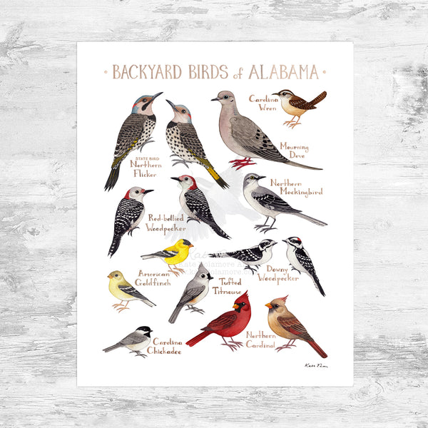 Alabama Backyard Birds Field Guide Art Print Mini (8x10) – Kate ...