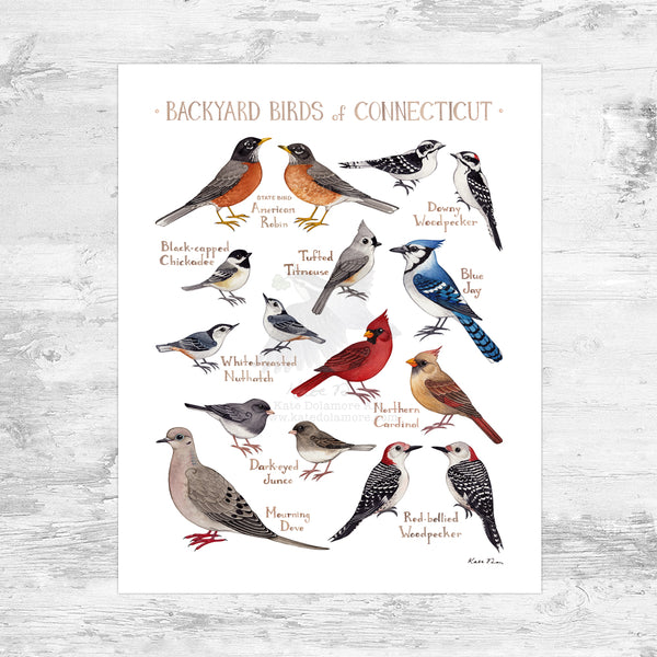 Connecticut Backyard Birds Field Guide Art Print Mini (8x10) – Kate ...