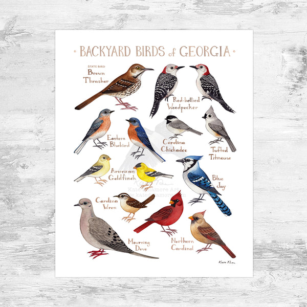 Georgia Backyard Birds Field Guide Art Print Mini (8x10) – Kate ...