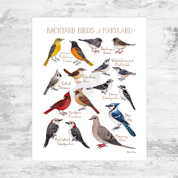 Maryland Backyard Birds Field Guide Art Print Mini (8x10) – Kate ...