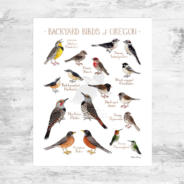 Oregon Backyard Birds Field Guide Art Print Mini (8x10) – Kate Dolamore Art