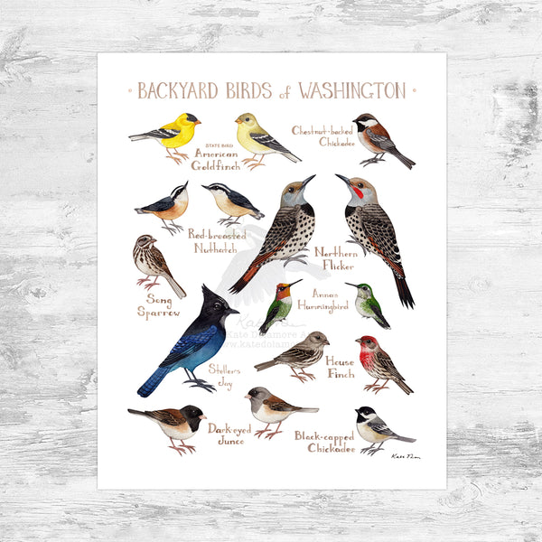 Washington Backyard Birds Field Guide Art Print Mini (8x10) – Kate ...
