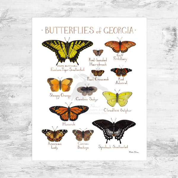 Georgia Butterflies Field Guide Art Print Mini (8x10) – Kate Dolamore Art