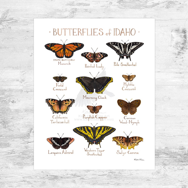 Idaho Butterflies Field Guide Art Print Mini (8x10) – Kate Dolamore Art