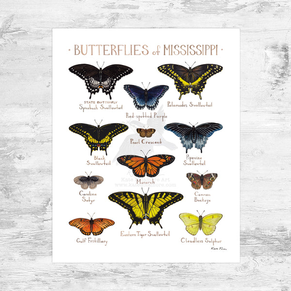 Mississippi Butterflies Field Guide Art Print Mini (8x10) – Kate ...
