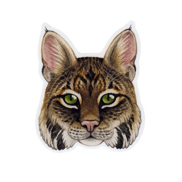 Bobcat Vinyl Sticker – Kate Dolamore Art