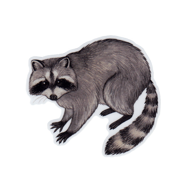 Raccoon Vinyl Sticker – Kate Dolamore Art