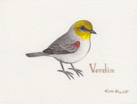 Verdin