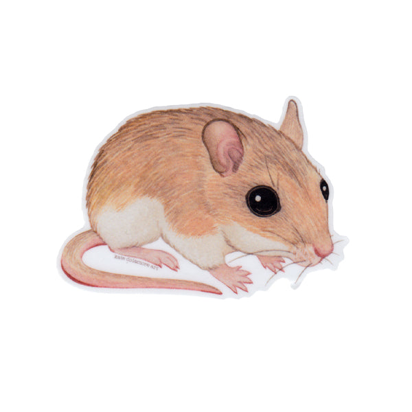 Southeastern Beach Mouse Vinyl Sticker – Kate Dolamore Art