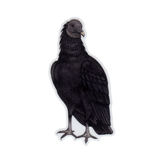 Black Vulture Vinyl Sticker – Kate Dolamore Art