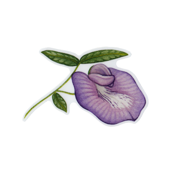 Butterfly Pea Vinyl Sticker – Kate Dolamore Art