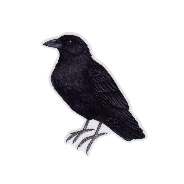 American Crow Vinyl Sticker – Kate Dolamore Art