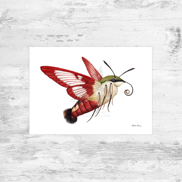 Hummingbird Clearwing Moth Art Print – Kate Dolamore Art