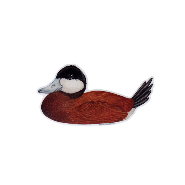 Ruddy Duck Vinyl Sticker – Kate Dolamore Art