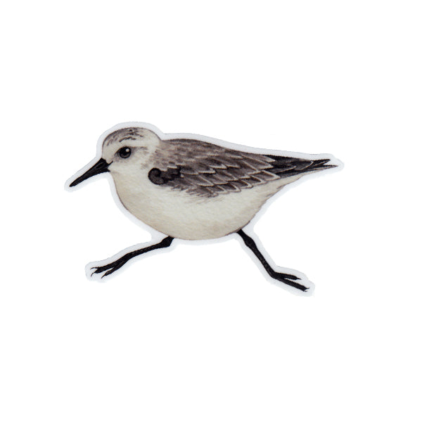 Sanderling Vinyl Sticker – Kate Dolamore Art