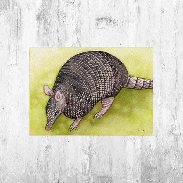 Armadillo Art Print – Kate Dolamore Art