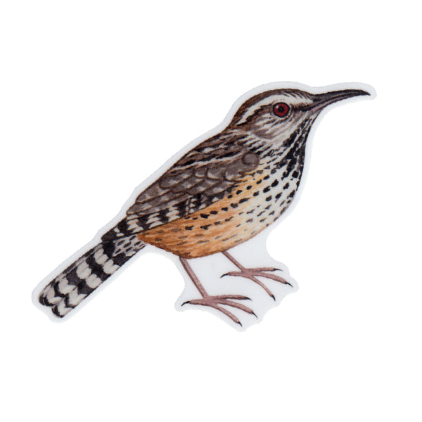 Cactus Wren Vinyl Sticker – Kate Dolamore Art