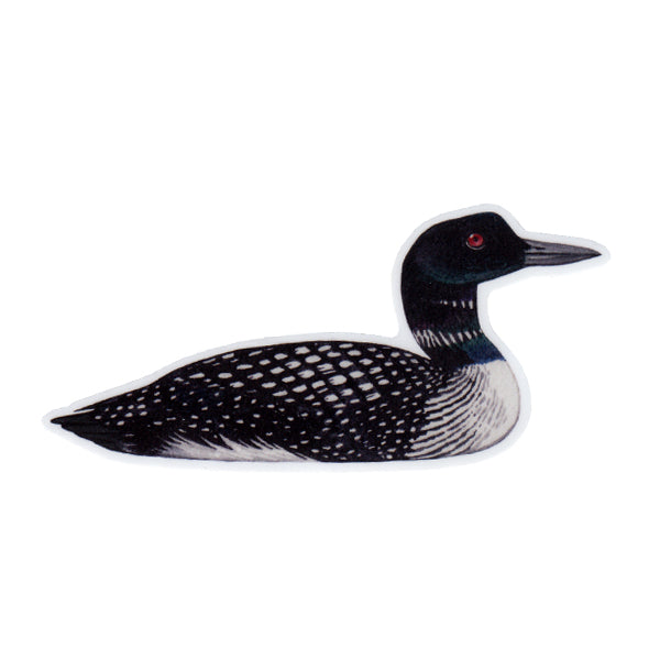 Common Loon Vinyl Sticker – Kate Dolamore Art
