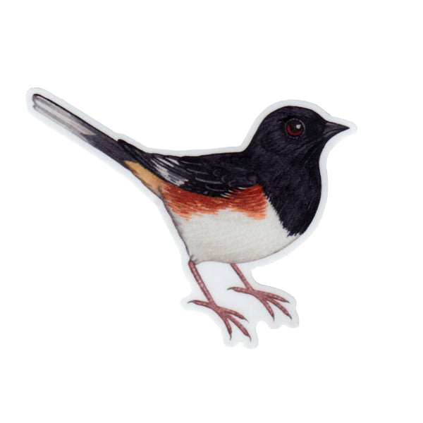 Eastern Towhee Vinyl Sticker – Kate Dolamore Art
