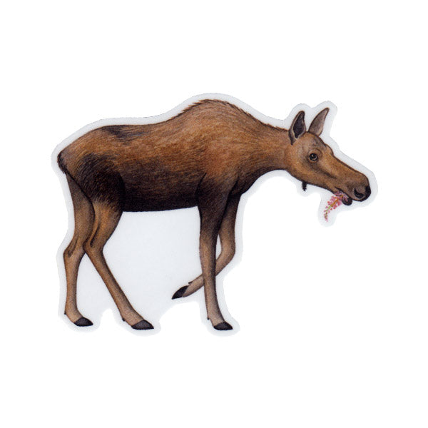 Moose Vinyl Sticker – Kate Dolamore Art