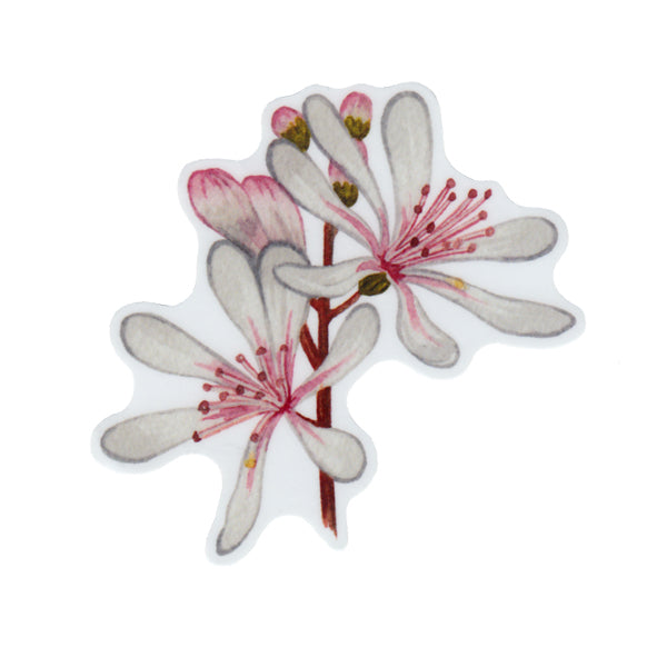 Tarflower Vinyl Sticker – Kate Dolamore Art