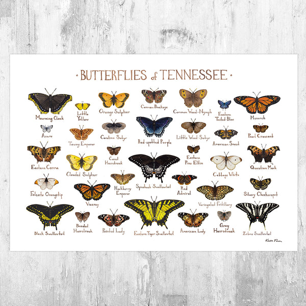 Tennessee Butterflies Field Guide Art Print – Kate Dolamore Art