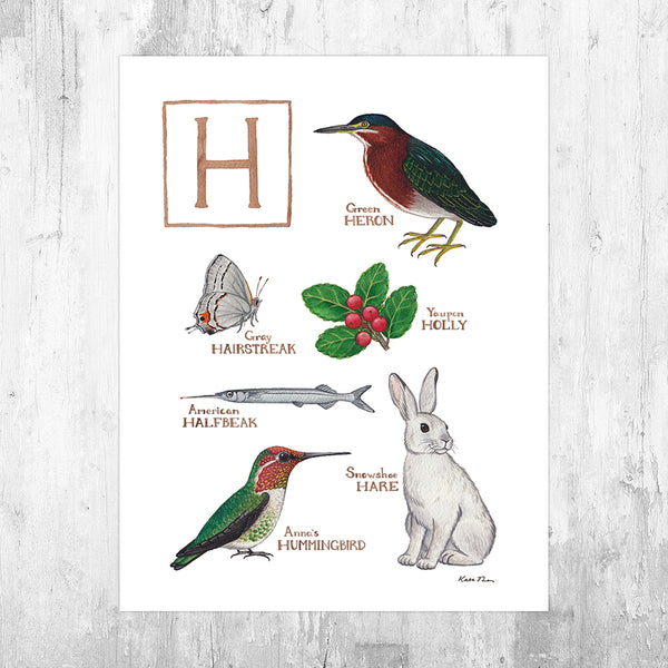 The Letter H Nature Art Print – Kate Dolamore Art