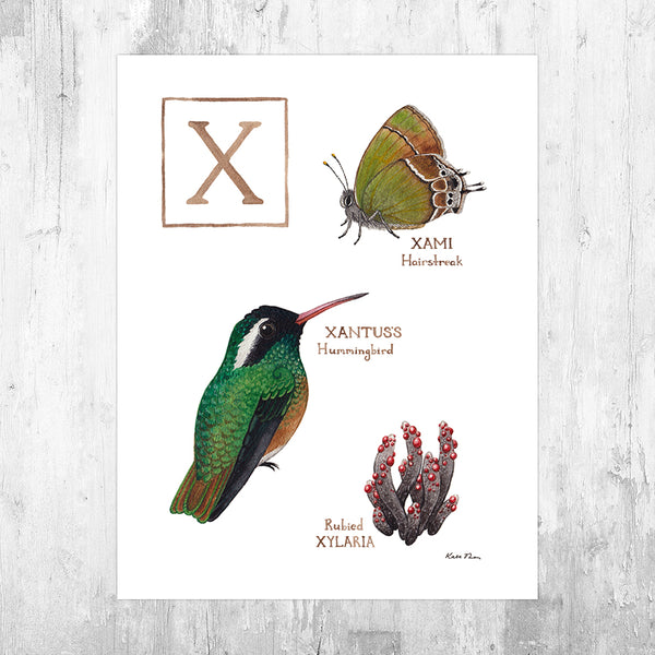 The Letter X Nature Art Print – Kate Dolamore Art
