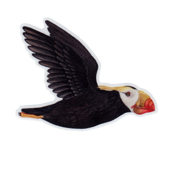 Tufted Puffin Vinyl Sticker – Kate Dolamore Art